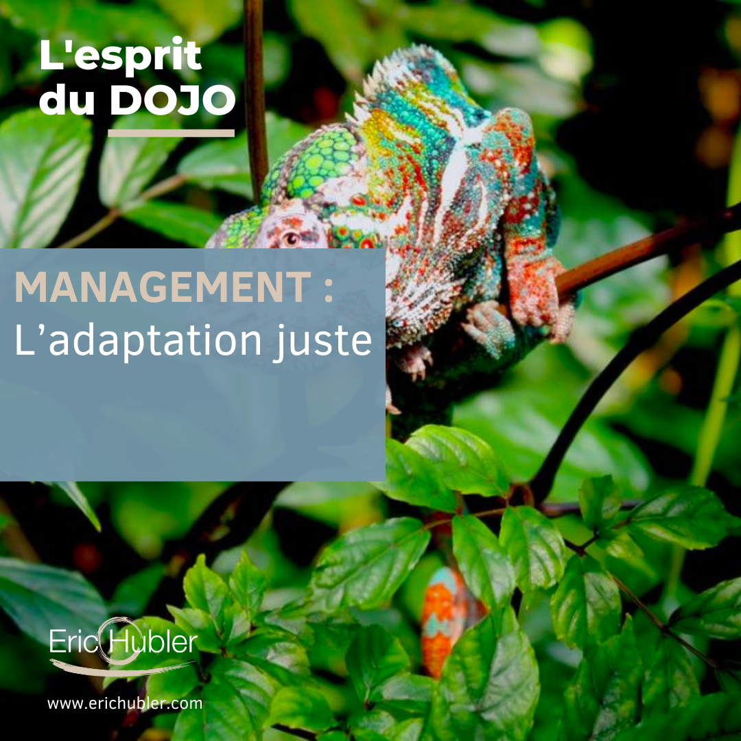Management : l'adaptation juste - Eric Hubler